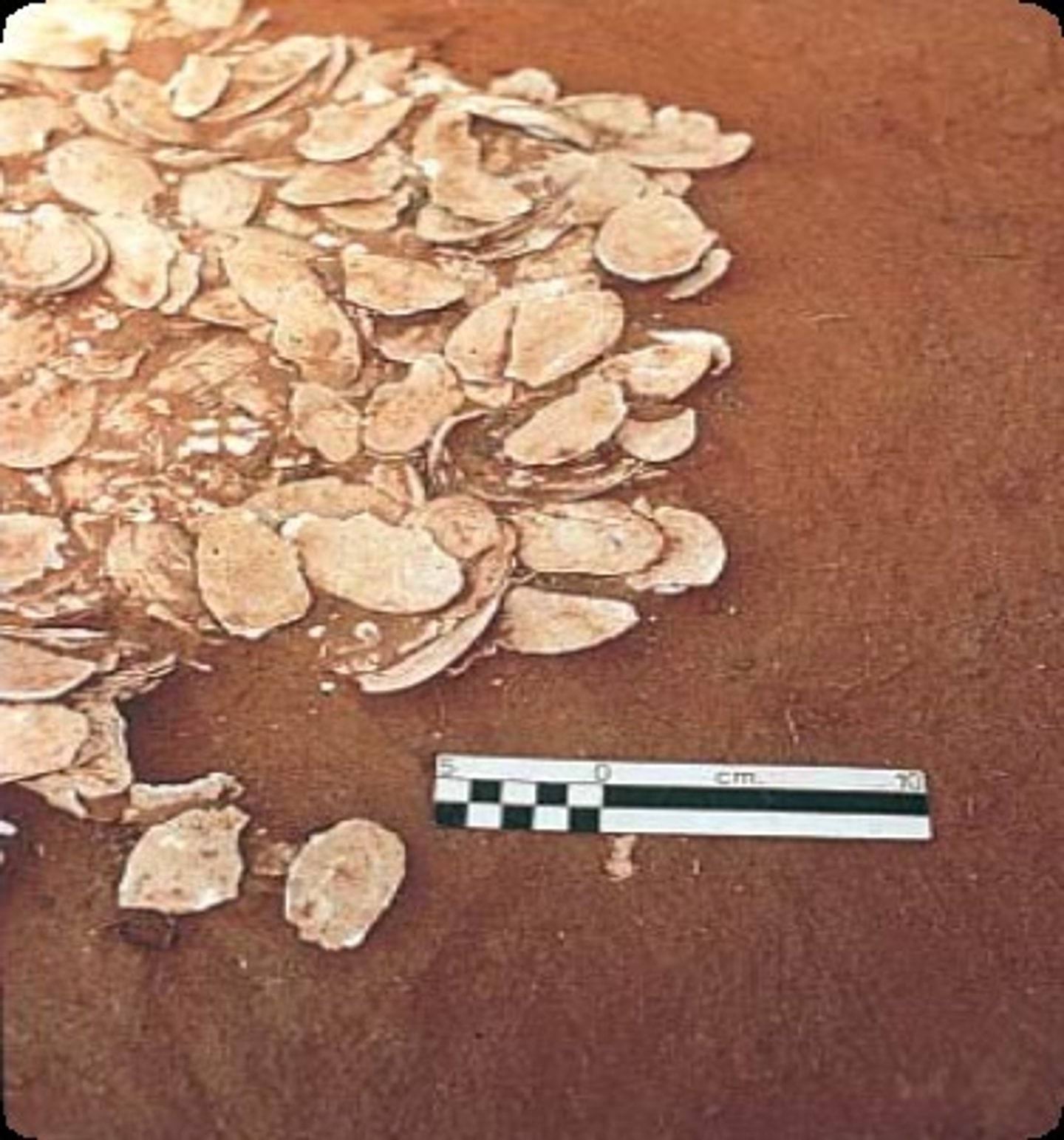 Fact sheet: Aboriginal freshwater middens | firstpeoplesrelations.vic ...