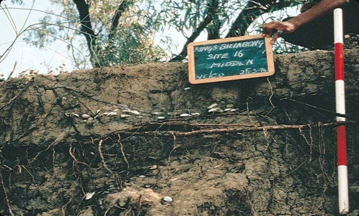 Fact sheet: Aboriginal freshwater middens | firstpeoplesrelations.vic ...