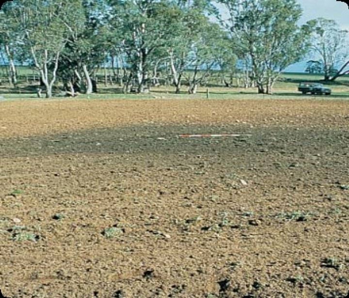Fact sheet: Aboriginal mounds | firstpeoplesrelations.vic.gov.au