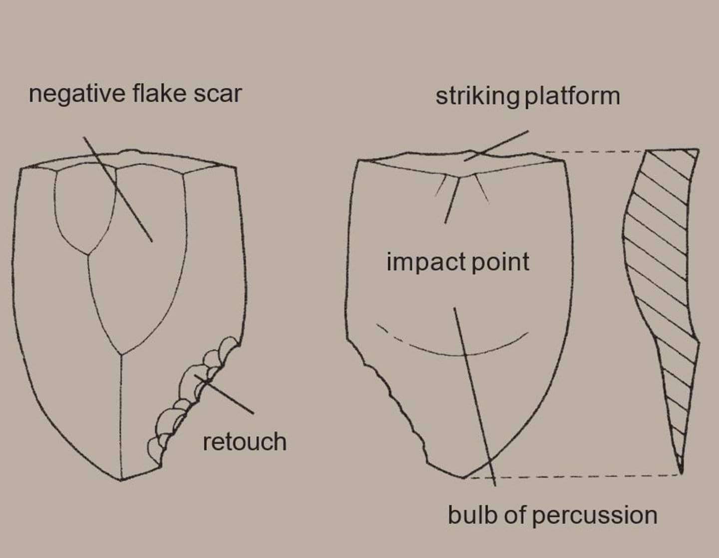 Fact sheet: Aboriginal flaked stone tools | firstpeoplesrelations.vic ...