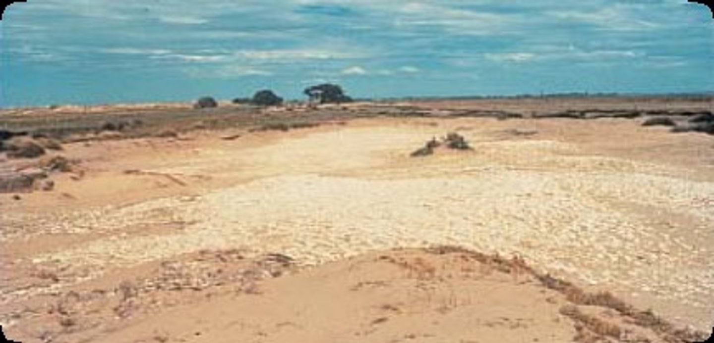 Fact sheet: Aboriginal coastal shell middens | firstpeoplesrelations ...