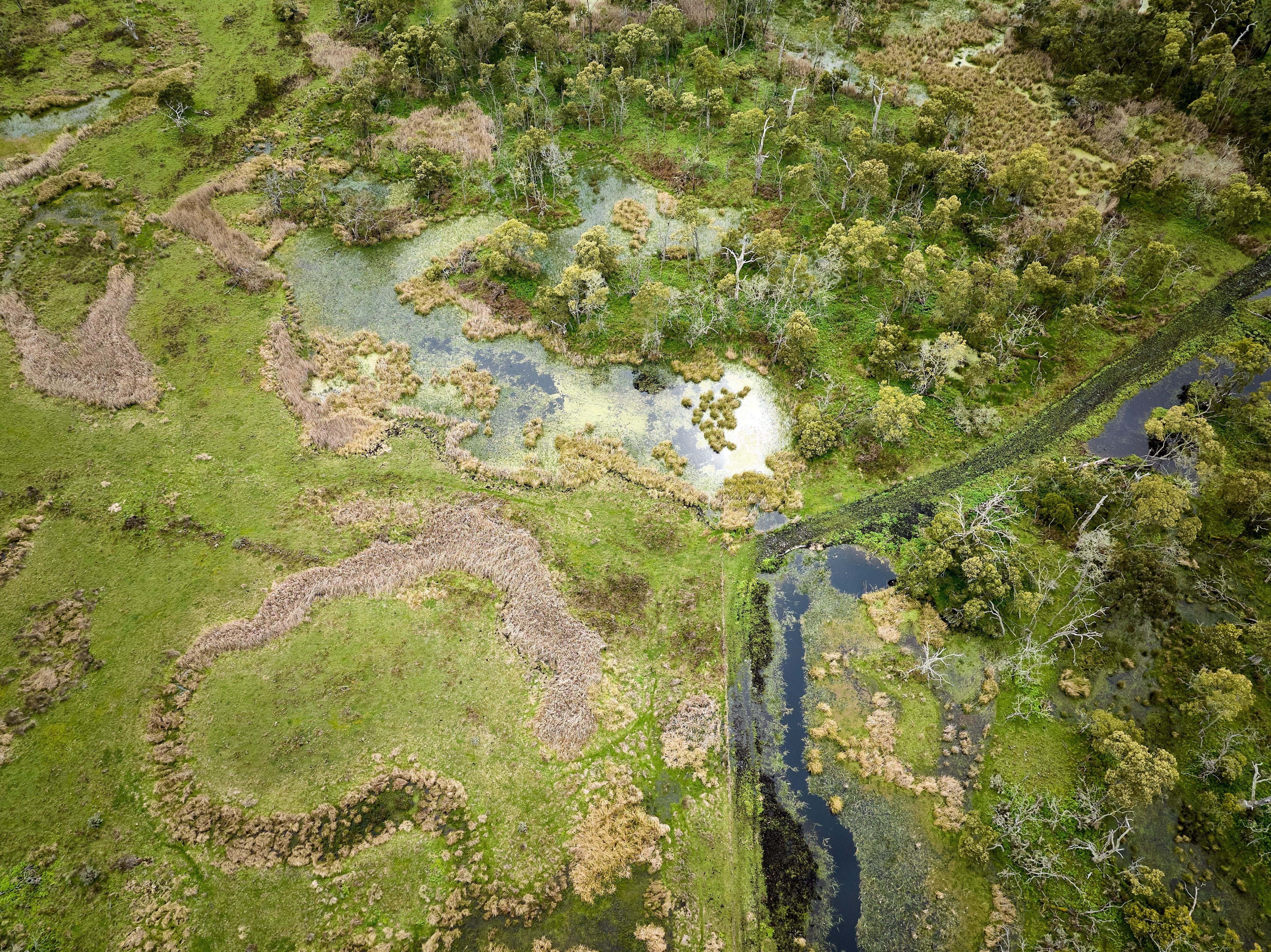 An introduction to Aboriginal cultural heritage in Victoria ...